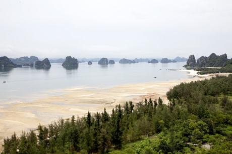 Exploring the natural beauty of Van Don island ( Quang Ninh) - 👉 ...